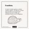 Breve historia de las 20 localidades de Bogotá | BogotArt